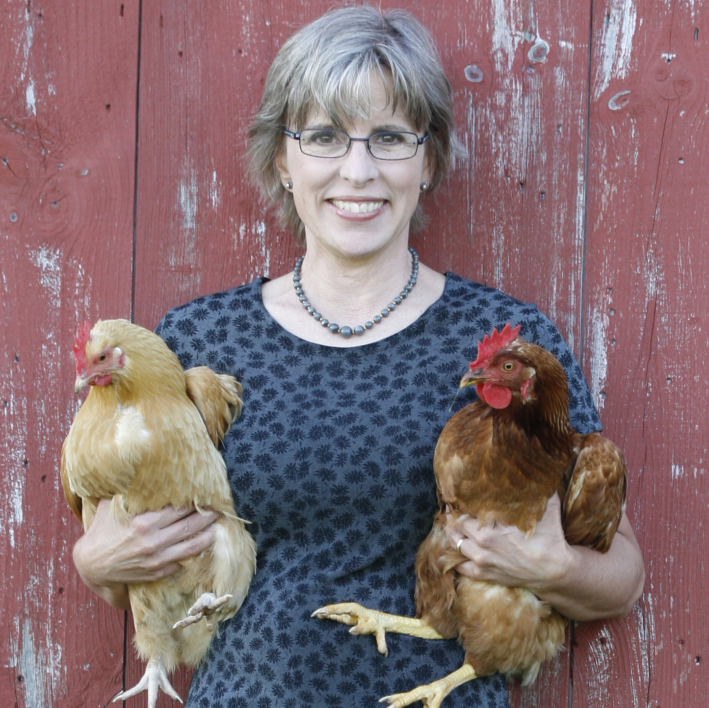 Carol Lew - Art In Motion